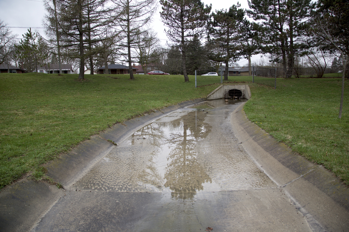 Sounding the City — 003 05 Bullfrog Pond Park